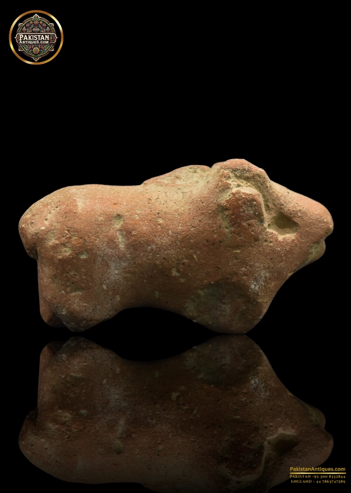 Early Harappan Zebu Terracotta figurine from Harappa | Pakistan Antiques